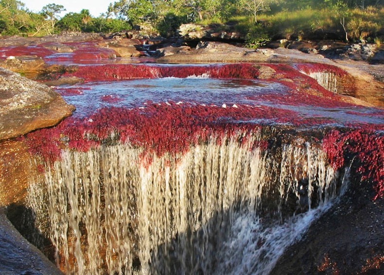 Awesome River of Five Colors: Cano Cristales, Colombia ~ Great Panorama ...
